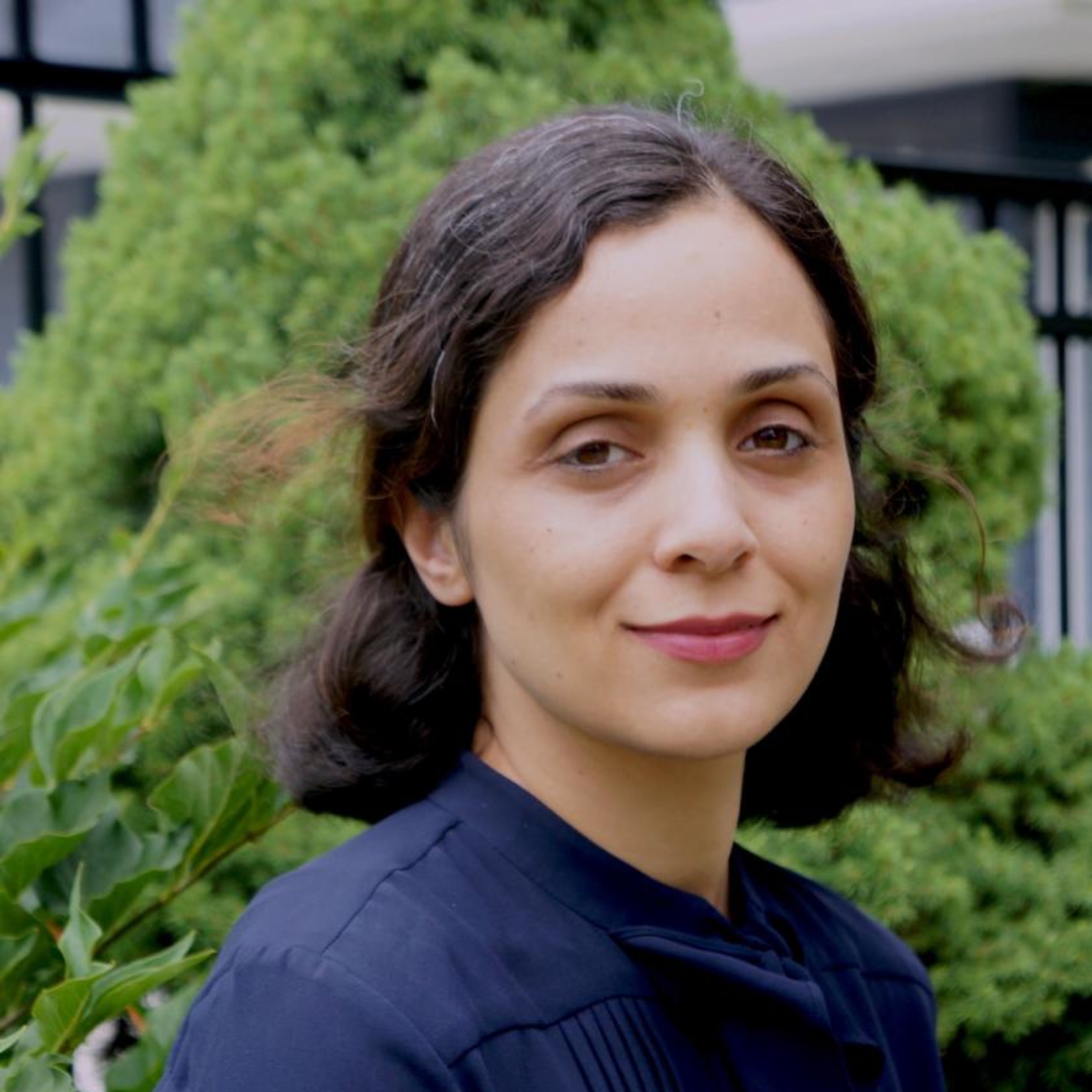 Dynamical systems | Interdisciplinary Graduate Program in Neuroscience ...