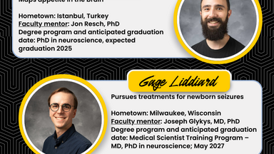 Interdisciplinary Graduate Program in Neuroscience | Graduate College ...